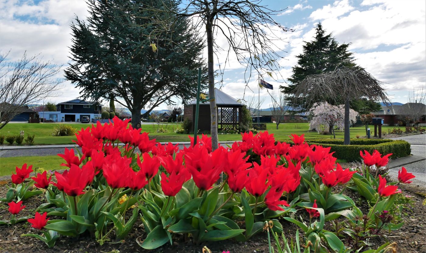 Gallery : Brooklands Village - Retirement Village